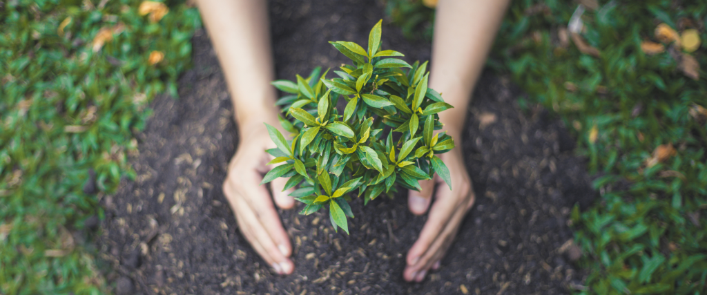 Going Green: Toshiba's 3 Steps for Making the Most of Earth Day