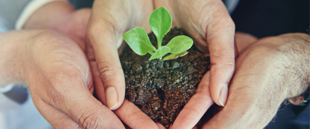 Toshiba Honors Earth Day with Year-round Reforesting & Recycling - Toshiba